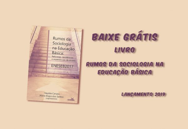 O que é estrutura social?